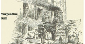 Viewpoints on the Risks and benefits of using turpentine | Situational ...