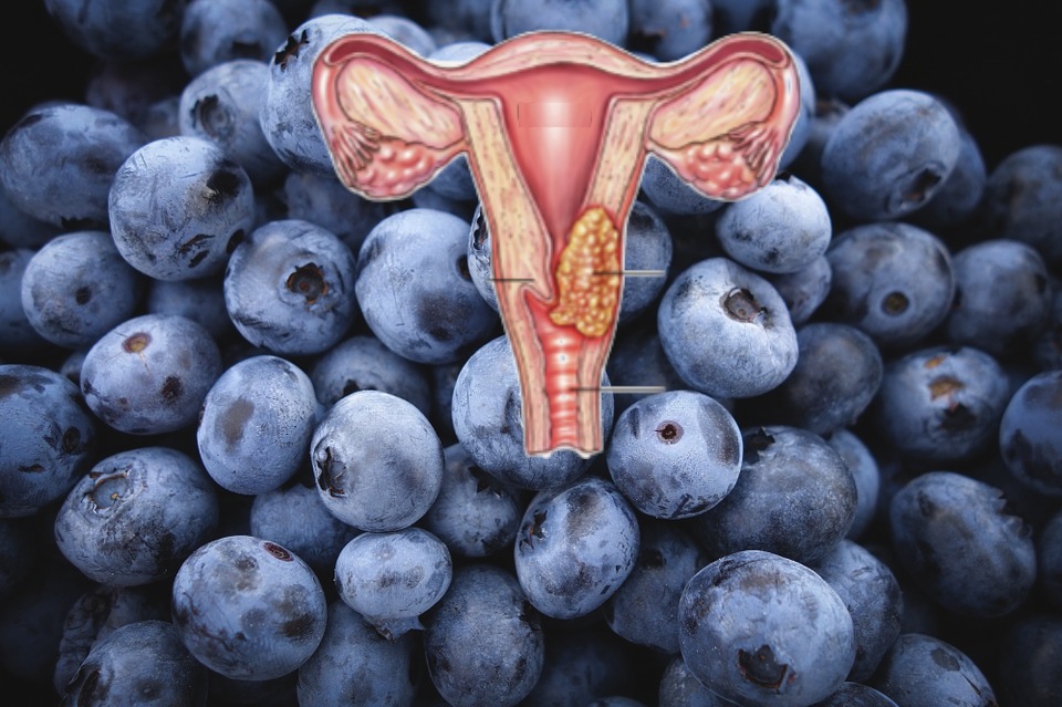 Viewpoints on the Risks and benefits of using turpentine