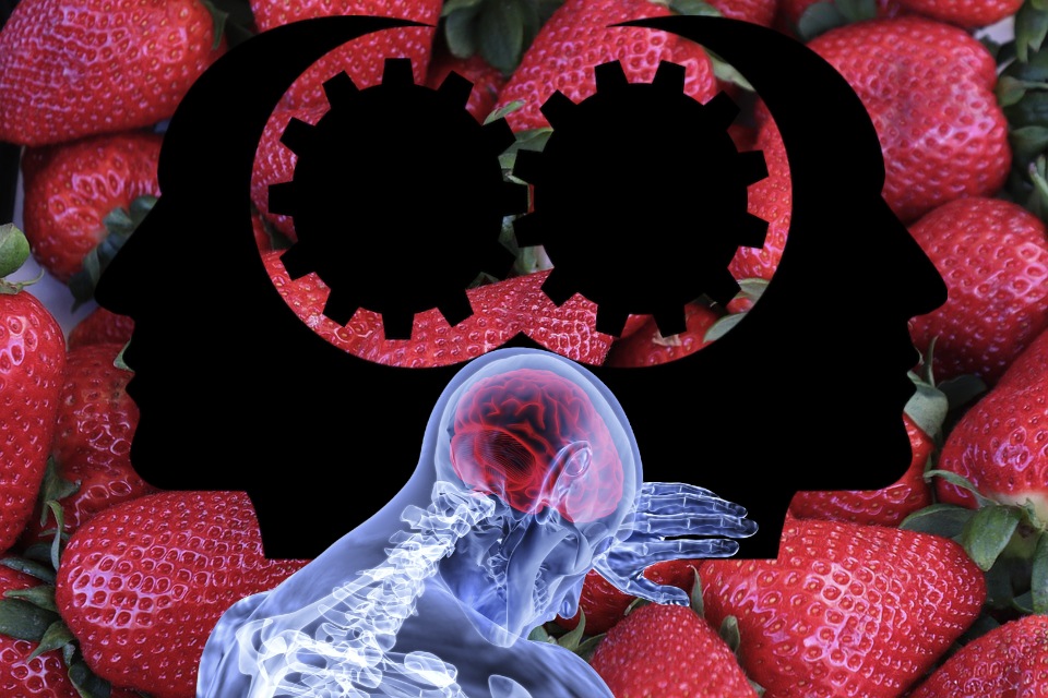 Viewpoints on the Risks and benefits of using turpentine